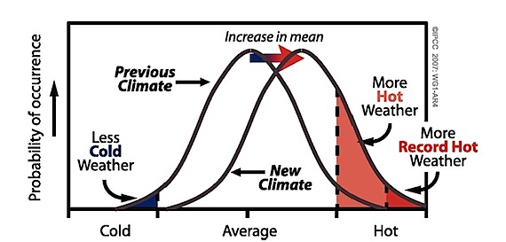 Disturbing signs of climate change in 2012: UN weather agency