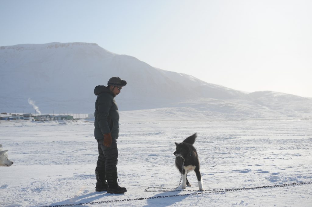 Blizzards, dogs in heat: Mushers prep for dogsled race