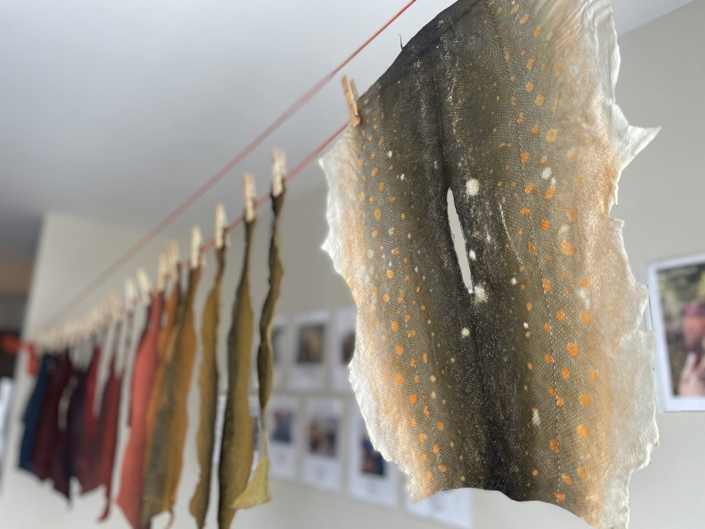 Pair working to revive the lost skill of fish tanning