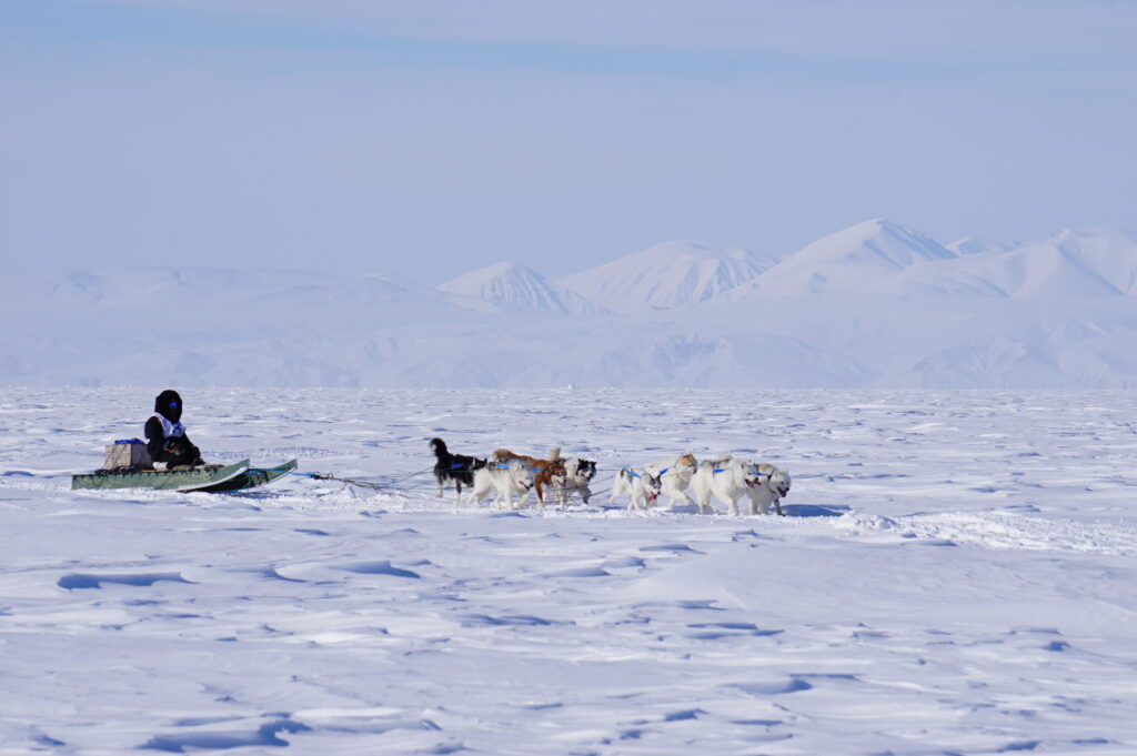 Pond Inlet comes out to greet Nunavut Quest mushers