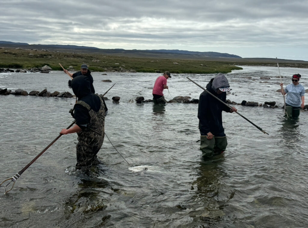 Kitikmeot Inuit Association steps back online with new website