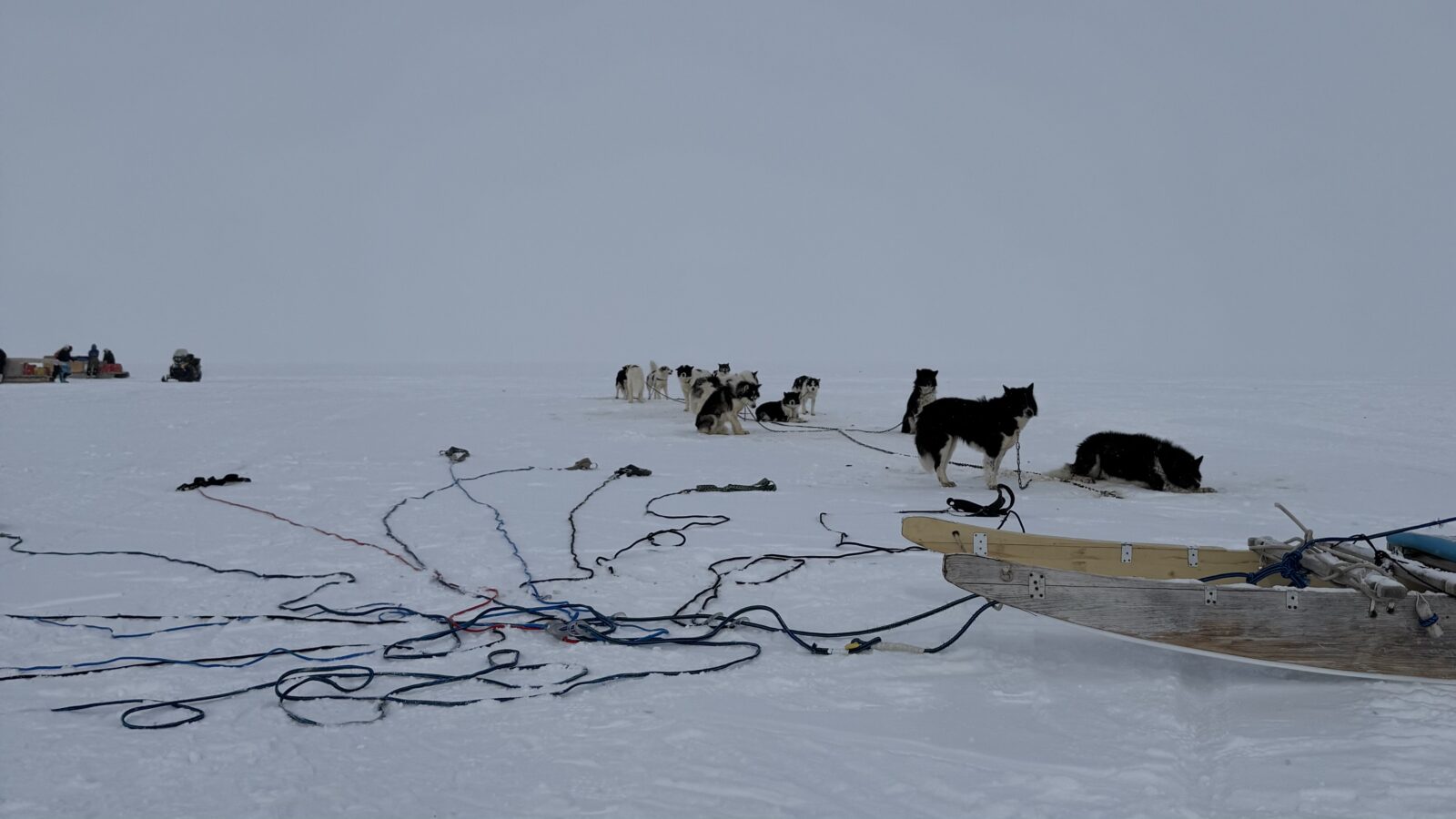 Day 1 of Nunavut Quest ends with big smiles and happy dogs