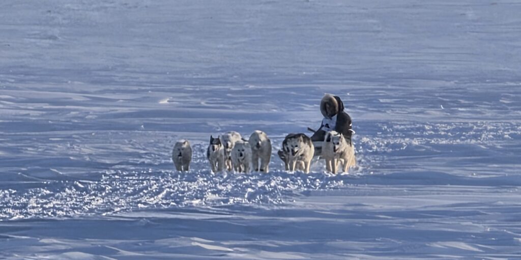 Nunavut Quest starts with large crowd on hand to cheer mushers