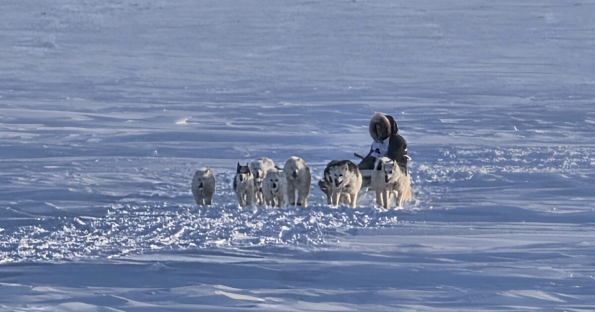 Nunavut Quest starts with large crowd on hand to cheer mushers
