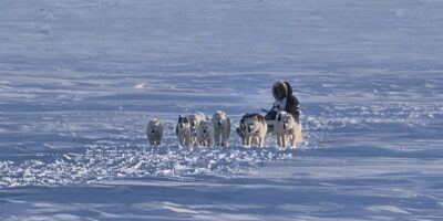 Nunavut Quest starts with large crowd on hand to cheer mushers
