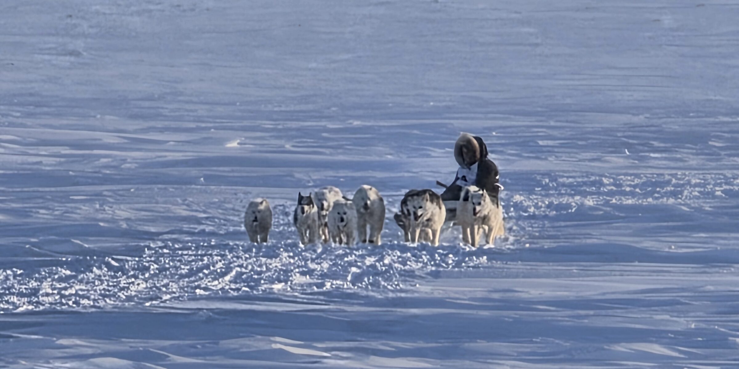 Nunavut Quest starts with large crowd on hand to cheer mushers